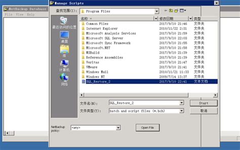 veritas netbackup sqlserver 本机异机备份恢复 程序员大本营