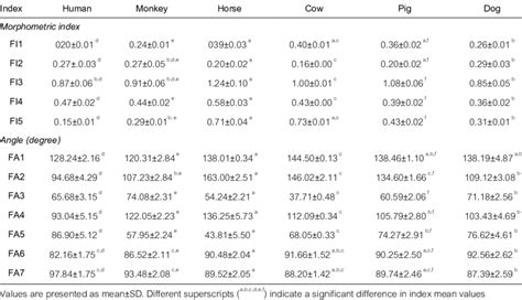 Femur Measurement Index Comparison Between Species Download Table