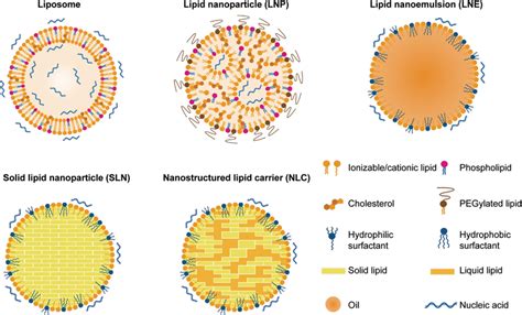 Schematic Illustration Of The Five Types Of Lbnps Liposome Lnp Lne