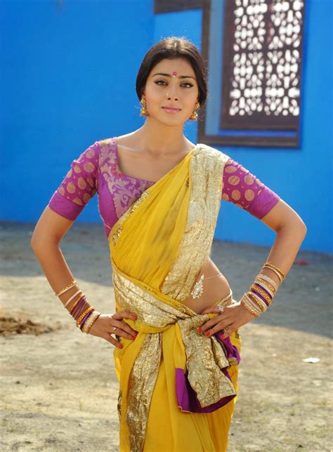 Shriya Saran In Saree Hot Bollywood Sarees