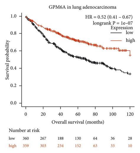 Comparison Of GPM6A MRNA Expression Between Tumors And Corresponding Download Scientific
