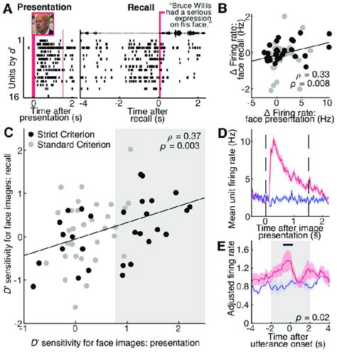 Face Selective Units Reactivate During Recall A Raster Plot From