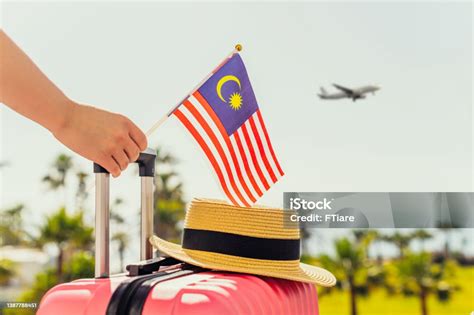 분홍색 가방 모자 말레이시아 국기를 들고 있는 여성은 승객들이 사다리에 서 있고 야자수가 있는 바다 해안선 맞은편 비행기에서