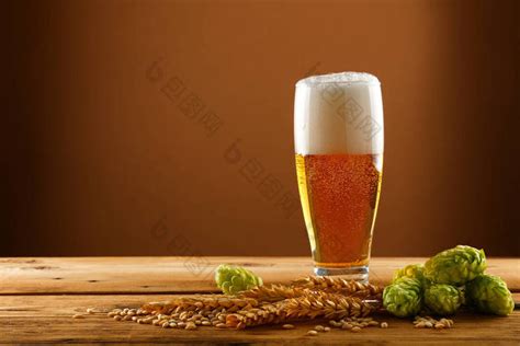 将啤酒杯啤酒花和大麦盖在棕色上图片 包图网企业站