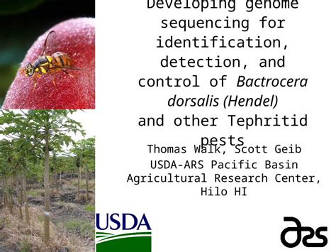 Pptx Developing Genome Sequencing For Identification Detection And Control Of Bactrocera