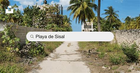 Imágenes De Playa Sisal Descarga Imágenes Gratuitas En Unsplash