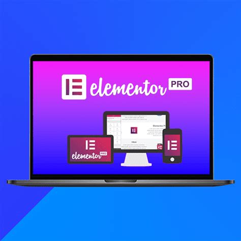 Elementor Pro Plugin License Key Activation Auto Update