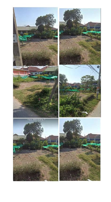 ขายที่ดินซอยสังฆสันติสุข 24 ใกล้โรงเรียนเซ็นต์เทเรซา หนองจอก กทม ราคาถูก ที่ดินร้อยแปด คอม