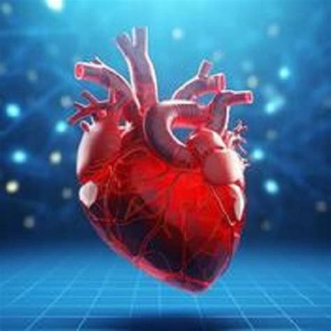 Heart Disease Prediction Kaggle