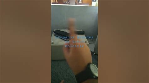 Hermanos Grandes No Deben Molestar Youtube