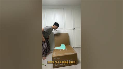 팔팔남편 육아준비 듄 유모차 Youtube