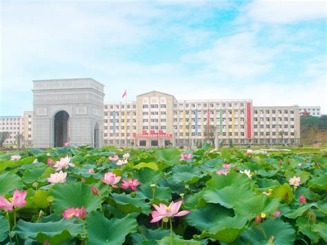 麻城市博达学校招聘主页 万行教师人才网