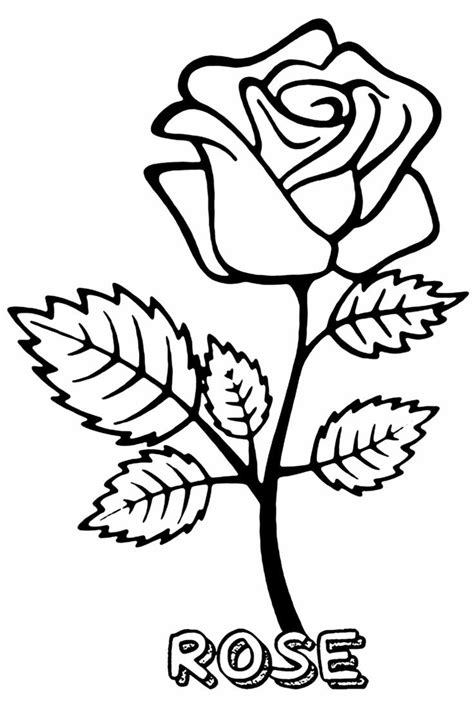 Распечатать Розу 69 фото