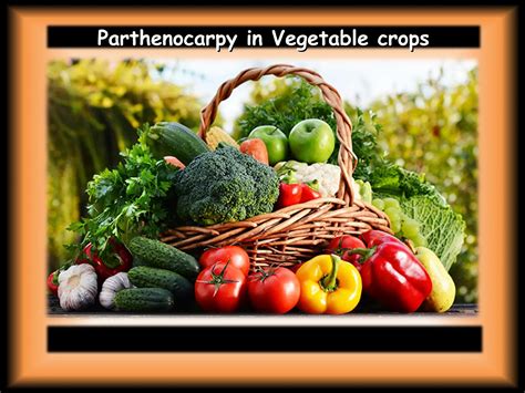 Parthenocarpy In Vegetable Crops Ppt