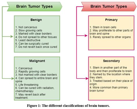 A Comprehensive Review On Strategies To Detect Diagnose And Classify