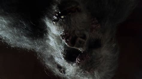 Coongo1995movv Vie Eporner