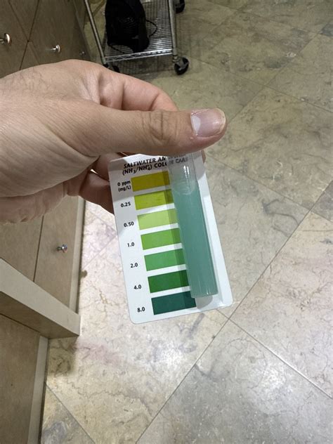Can I Dry Seachem Ammonia Badge Between Uses Reef2reef