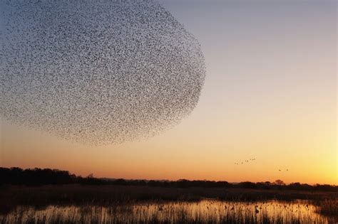 Particle Swarm Optimisation In Matlab Code Projectsflix