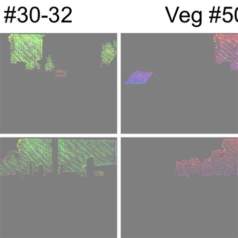 visualization of learned class specific feature maps on 3 different