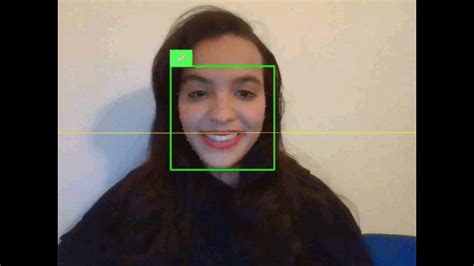 Github Yousrajnahifacial Symmetry Estimation This Project Detect