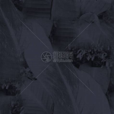 黑暗的喜怒无常几乎是黑色的叶子无缝图案高质量的插图深邃神秘的遥远和褪色的叶子设计用于室内或背景的豪华阴影插画图片下载 正版图片