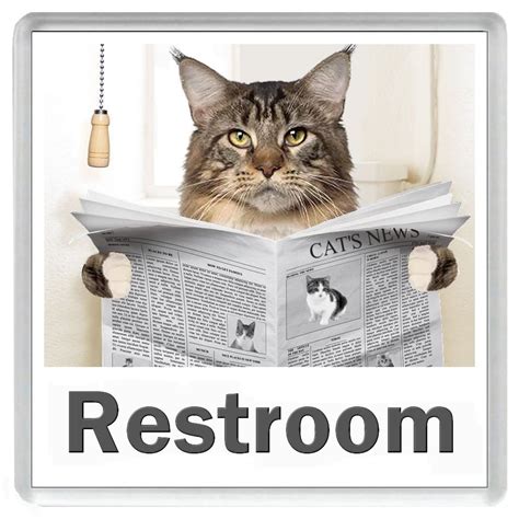 Cat In A Suit Reading Newspaper
