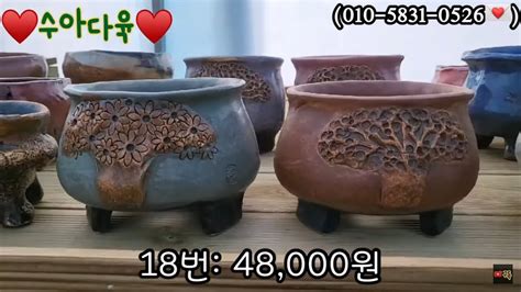 판매완료입니다🤗감사합니다💕 ♥️수아다육♥️ 중고화분특가2탄5만원이상 무료배송🚛다육식물 다육이 다육 다육이키우기 반려식물 분갈이 화분 Youtube
