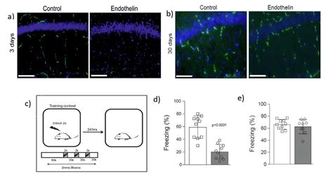 Centre For Brain Research Iisc Bangalore
