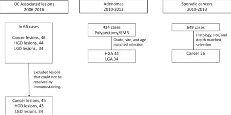 Method Of Case Selection Ulcerative Colitis Uc Associated Lesions Download Scientific