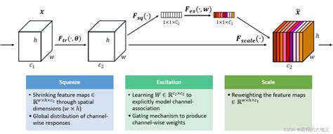 【深度学习注意力机制系列】—— Senet注意力机制（附pytorch实现） Csdn博客