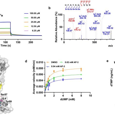 Ap 3 Targets Fdts Responsible For The Dtmp Formation For Dna
