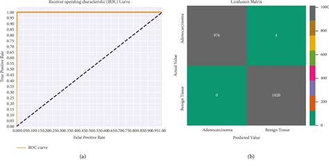 Figure 3 From Automated Detection And Characterization Of Colon Cancer