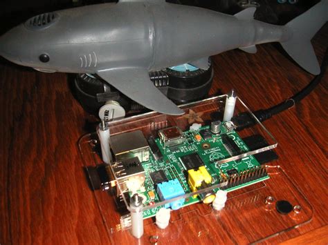 make a radio stream recorder piday raspberrypi raspberry pi adafruit industries makers