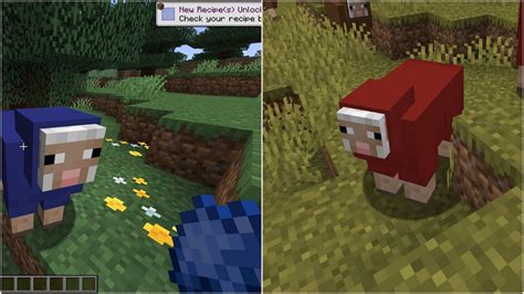 How Minecraft Created New Cold And Warm Sheep Variants Without Adding New Ones
