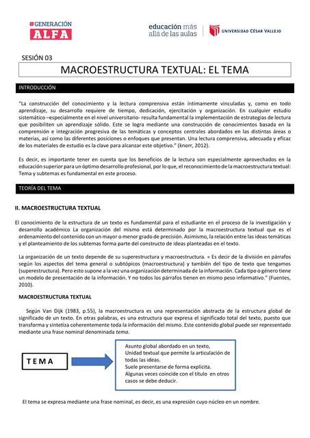 Macroestructura Textual Flavia Rivera Udocz