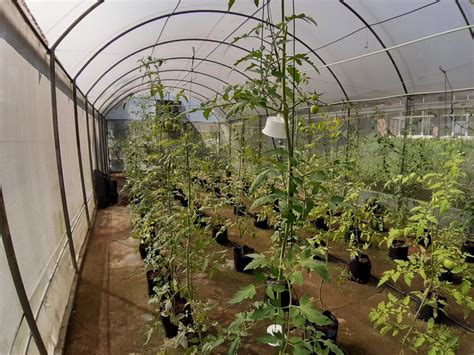 Greenhouse Automation System Projects