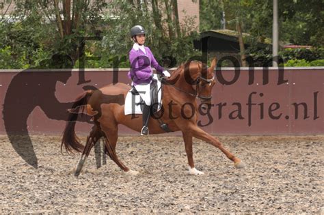 Cheryl Arduin Qhp Cup Fotografie
