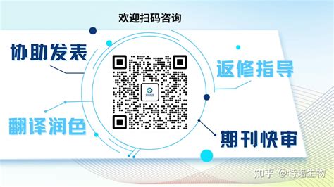 写作技巧 大中小括号用法讲规矩，速来查收！ 知乎