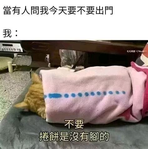 女玩家入坑应该推荐啥专精 NGA玩家社区