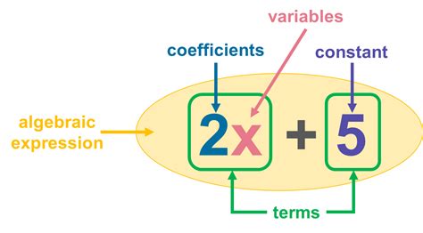 Simplify Algebraic Expressions 6th 8th Grade Flashcard Wayground