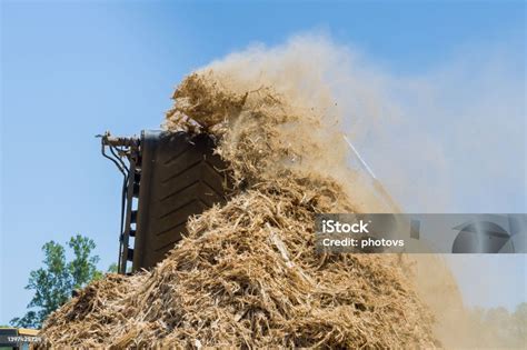 나무 뿌리의 작업 컨베이어는 치퍼 분쇄기로 분쇄됩니다 갈기갈기 찢어진에 대한 스톡 사진 및 기타 이미지 갈기갈기 찢어진 그라인더 산업 장비 나무 Istock