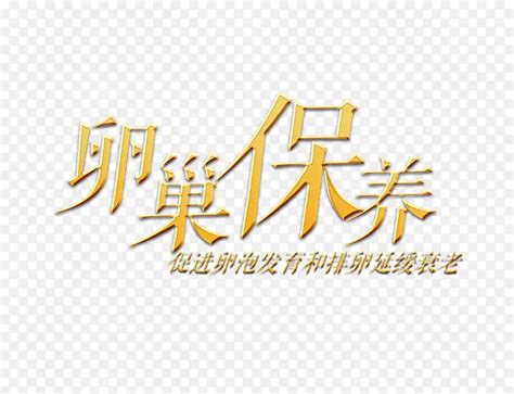 卵巢保养艺术字PNG图片素材下载 图片编号qnpkmmzq 免抠素材网