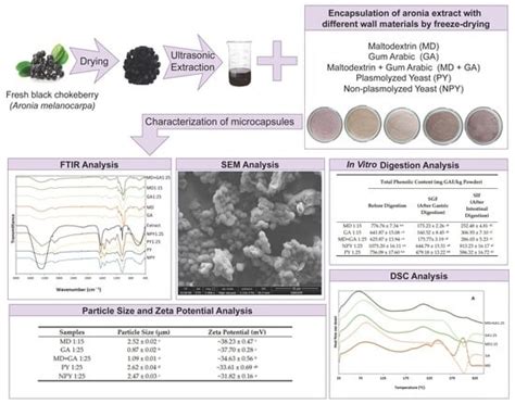 Utilization Of Yeast Cells As Alternative Carriers In The Microencapsulation Of Black Chokeberry