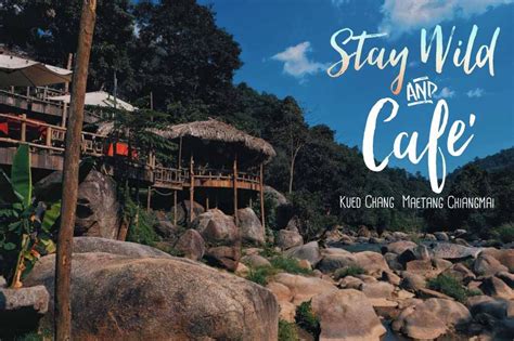 บ้านต้นไม้แม่แมะ บ้านต้นไม้แม่แมะ Tree House Hideaway