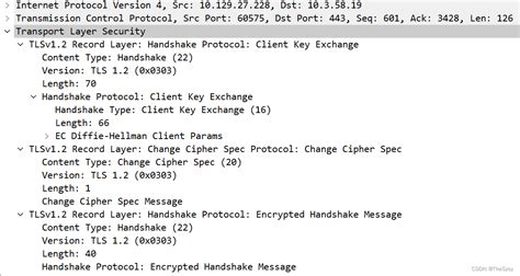 【网络安全技术】传输层安全——ssltlstls协议和tcp协议 Csdn博客