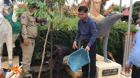 លោកចេង មុនីរ៉ា អភិបាលខណ្ឌ ច្បារអំពៅនាំយកដើមរំដួលទៅដាំនៅក្នុងបរិវេណវត្តថ្មី សារព័ត៌មាន នគរវត្ត
