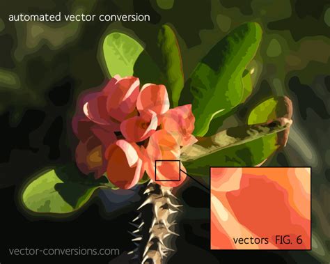 Photograph To Vector Conversion