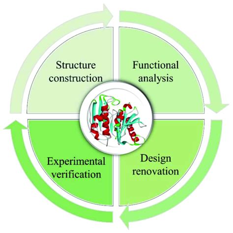 The Flowchart For Protein Design Download Scientific Diagram