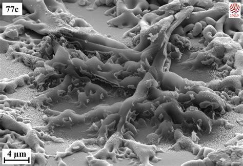 The Isotopic Composition Of Oxygen In The Solar System Finally Explained Institut De Physique