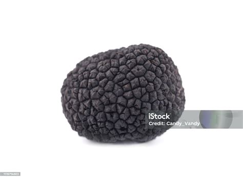 흰색 배경에 고립 된 검은 송로 버섯 진미 전용 트러플 버섯 피칸트와 향기로운 프랑스 요리 클리핑 경로 갈색에 대한 스톡 사진